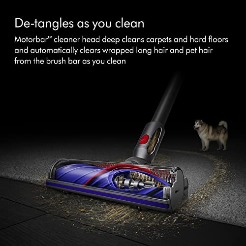 Dyson Cyclone V10 Animal Cordless Vacuum Cleaner - VacuumFolk